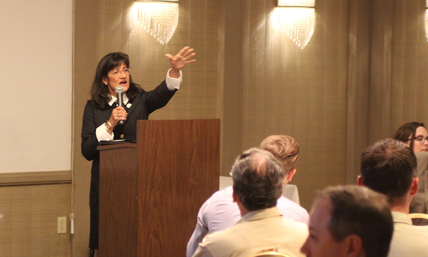 State Rep. Jill Cooper: No Budget, No Pay | News, Sports, Jobs - Times ...